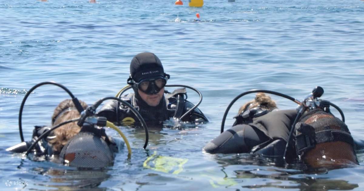 Пробное погружение с аквалангом PADI в Каталонии с 5-звездочным IDC-курортом PADI - Klook Россия